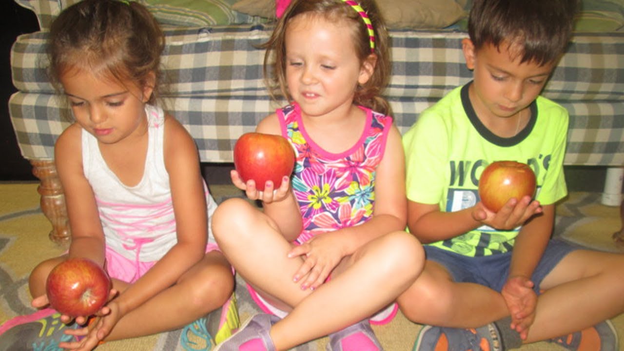 Making Observations: Five Senses with Apples - YouTube