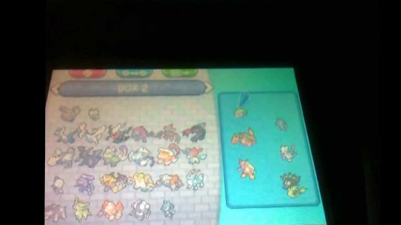 Pokemon Y How To Get Event Items 1 Gracidea Flower Youtube