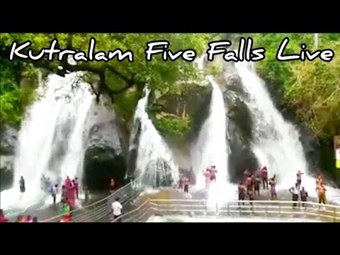 Kutralam Five falls Live 10/11/2022 update Today /courtallam waterfalls ...