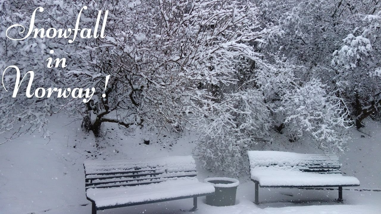 Snowfall in Norway | Lovely snowfall in Norway 26th December 2020 ️ ️ ️ ...