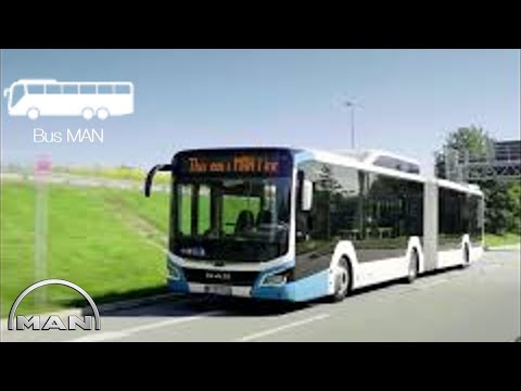 MAN Lion's Intercity | Le car scolaire par excellence | MAN Truck & Bus France