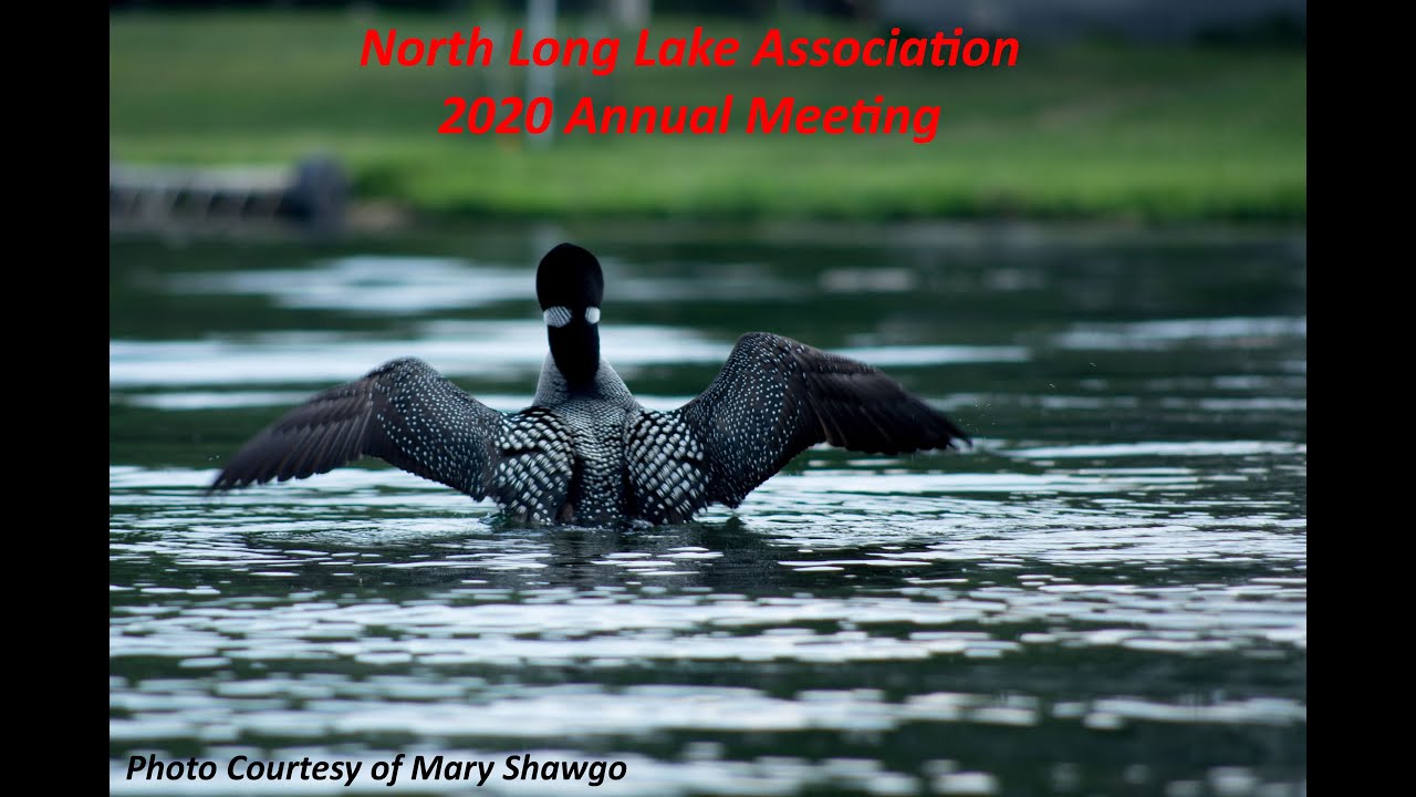 NLLA 2020 Annual Meeting - YouTube