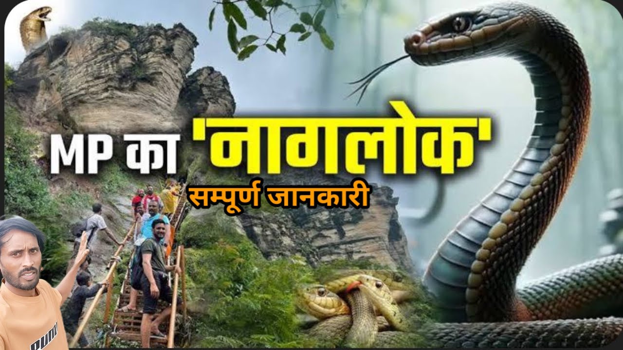 Nagdwar Yatra Pachmarhi 2024 | Pachmarhi MP nagdwar Yatra Padamshesh ...