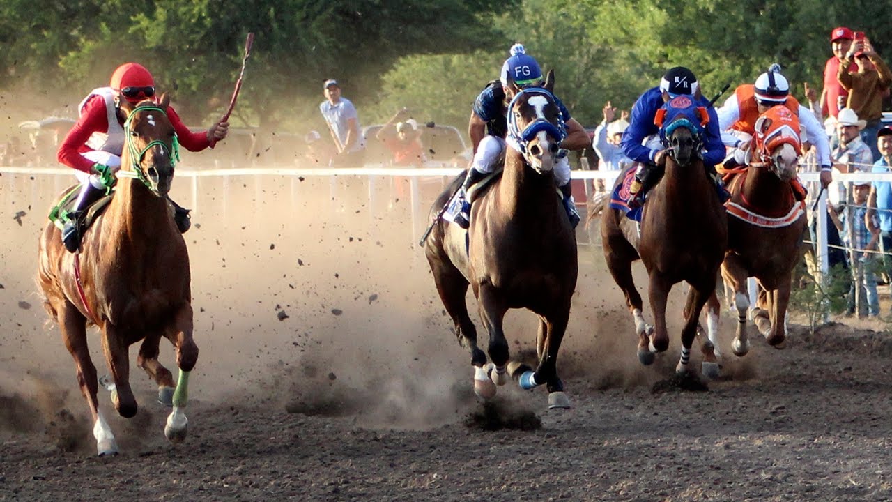 Carreras de Caballos en Tecoripa 15 de Octubre 2022 - YouTube