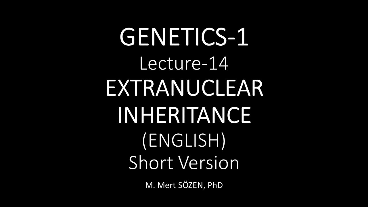 GENETICS-1 Lecture14: EXTRANUCLEAR INHERITANCE - YouTube
