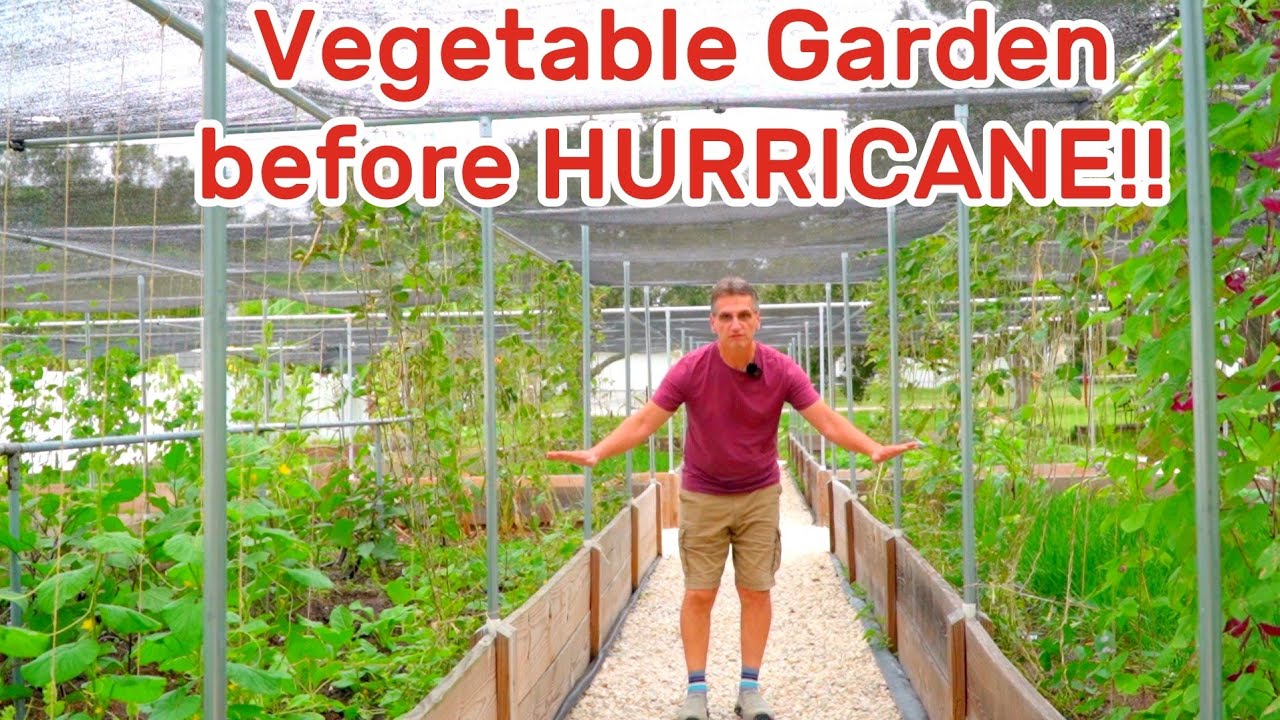 EP 6 Hurricane Nicole approaching! Will our vegetable garden survive ...