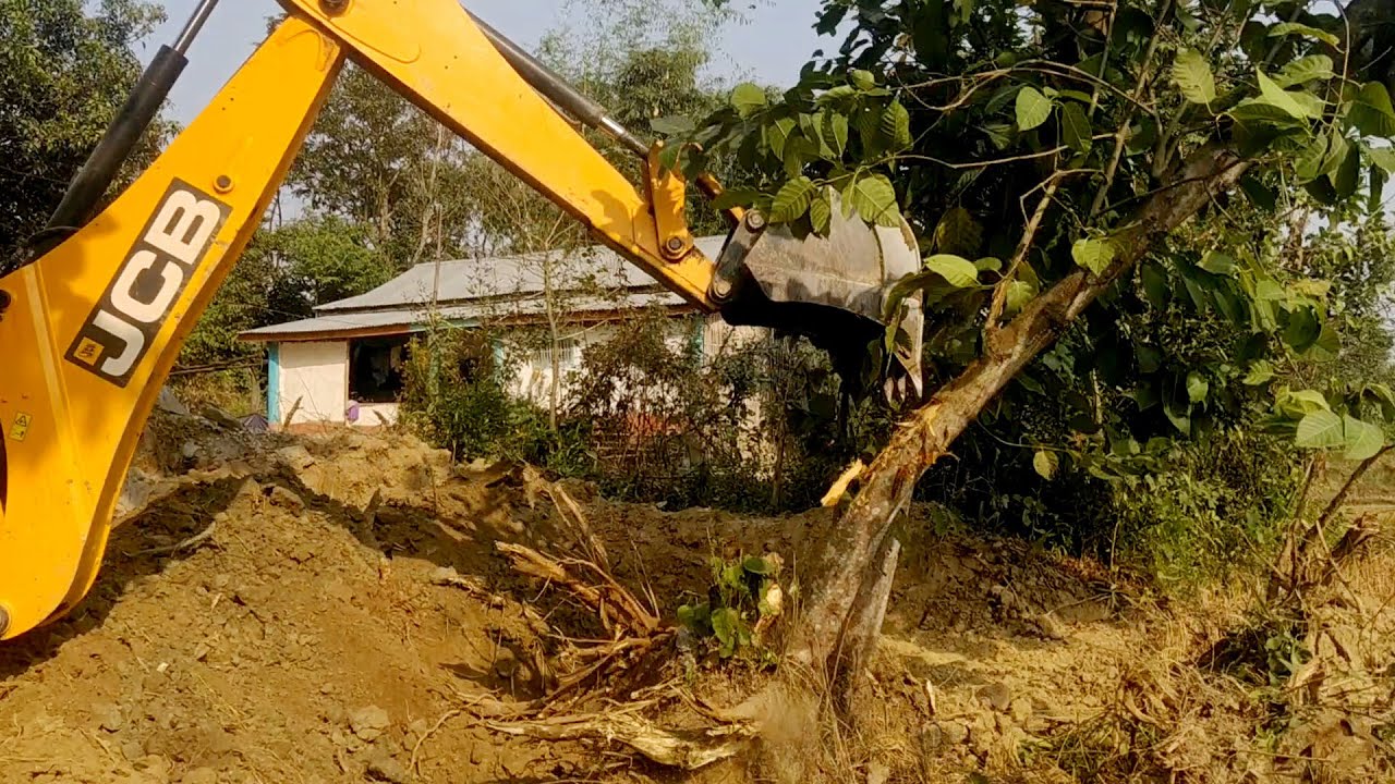 JCB Backhoe Machine Pushing Down and Throwing Out Tree - Throwing Out ...