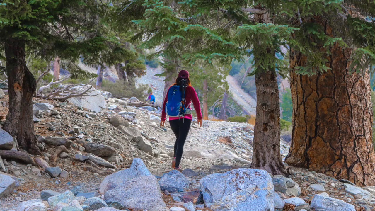 Mt. Cucamonga Hike - YouTube
