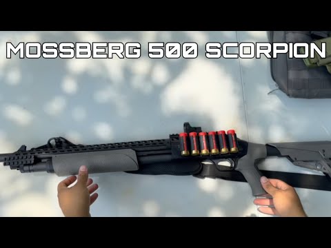 Mossberg 500 ATI Scorpion Review - YouTube