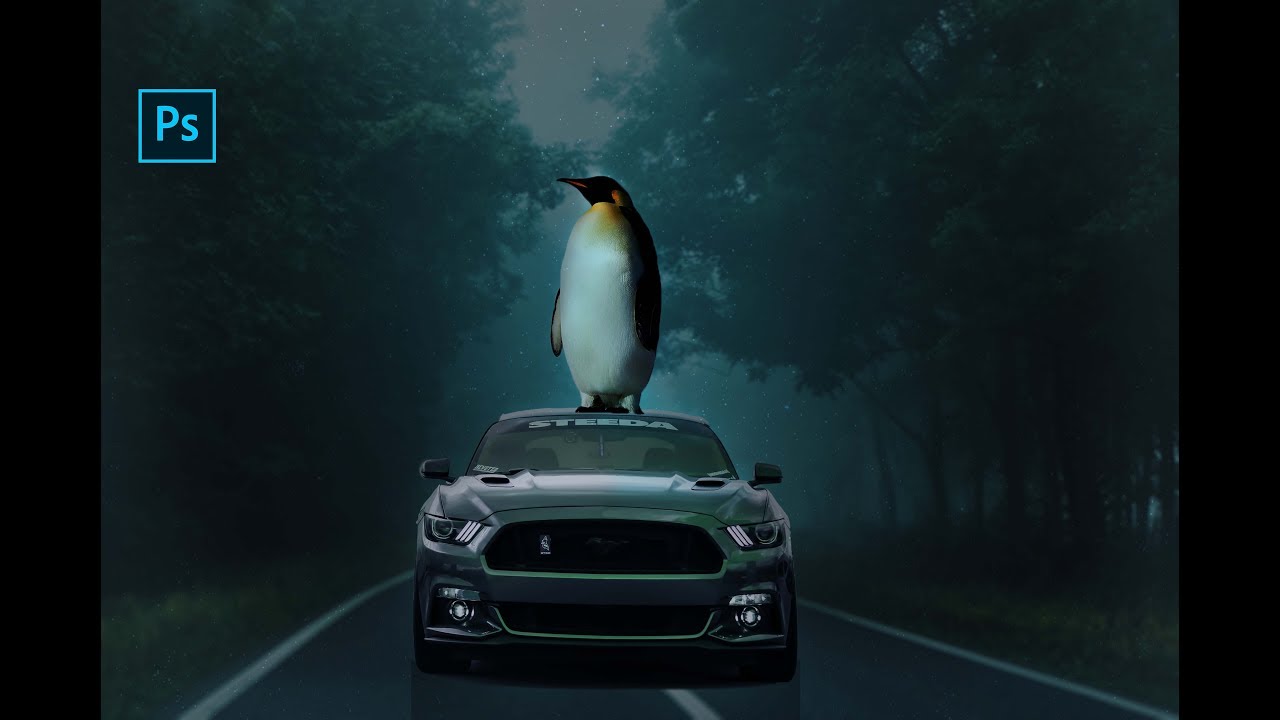 Penguin Photo manipulation scene effects in Photoshop | Photoshop ...