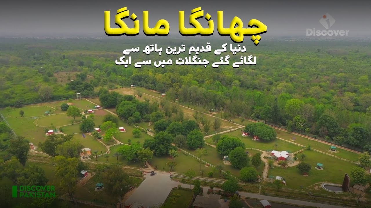 Changa Manga - One of The Oldest Man-Planted Forests in The World - YouTube