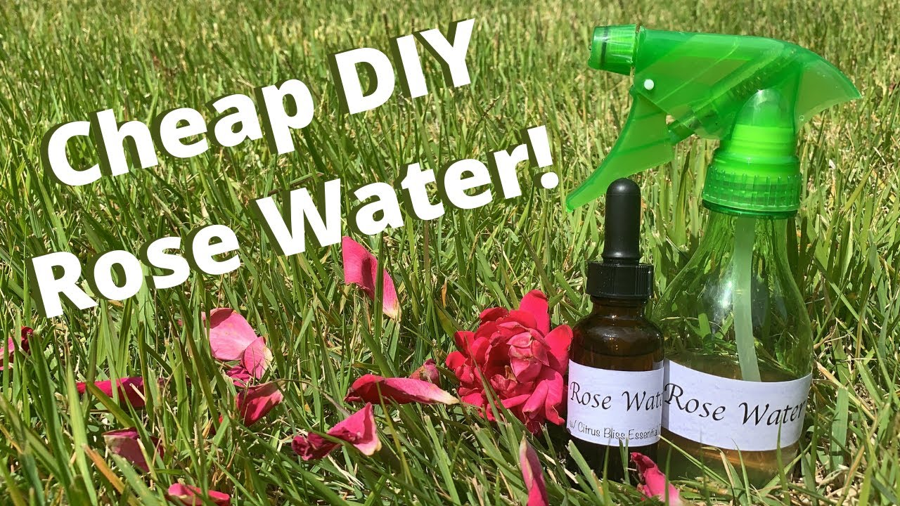 How to Make Rose Water at Home in 5 Easy Steps - YouTube