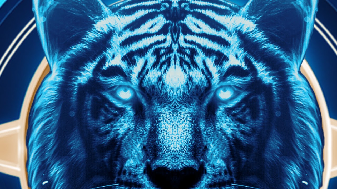 ELITE TIGERS ES - YouTube