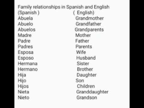 Family relationships in Spanish and English #shorts #relationships # ...