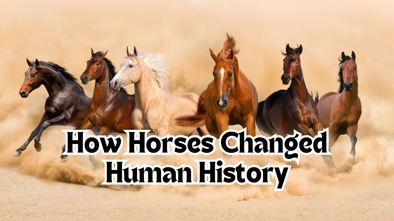 How Horses Changed Human History | William T. Taylor - YouTube