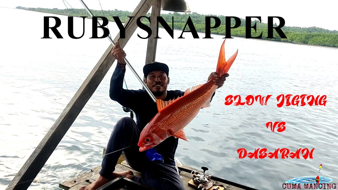 mancing dasaran ruby snapper teknik dasaran - YouTube