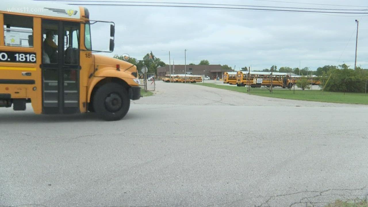 JCPS adding dozens more bus drivers as shortage continues - YouTube