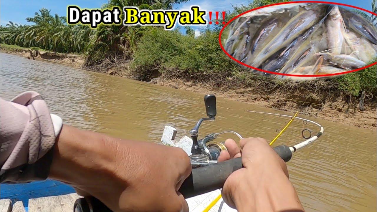 TAK BUTUH WAKTU LAMA UNTUK STRIKE IKAN BAUNG! Mancing ikan Baung Umpan Kucur - YouTube