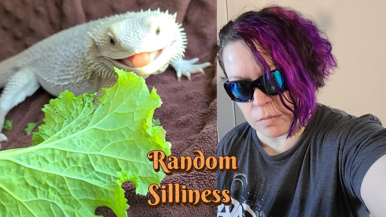 Random Acts of Silliness (Silly Saturday) - YouTube