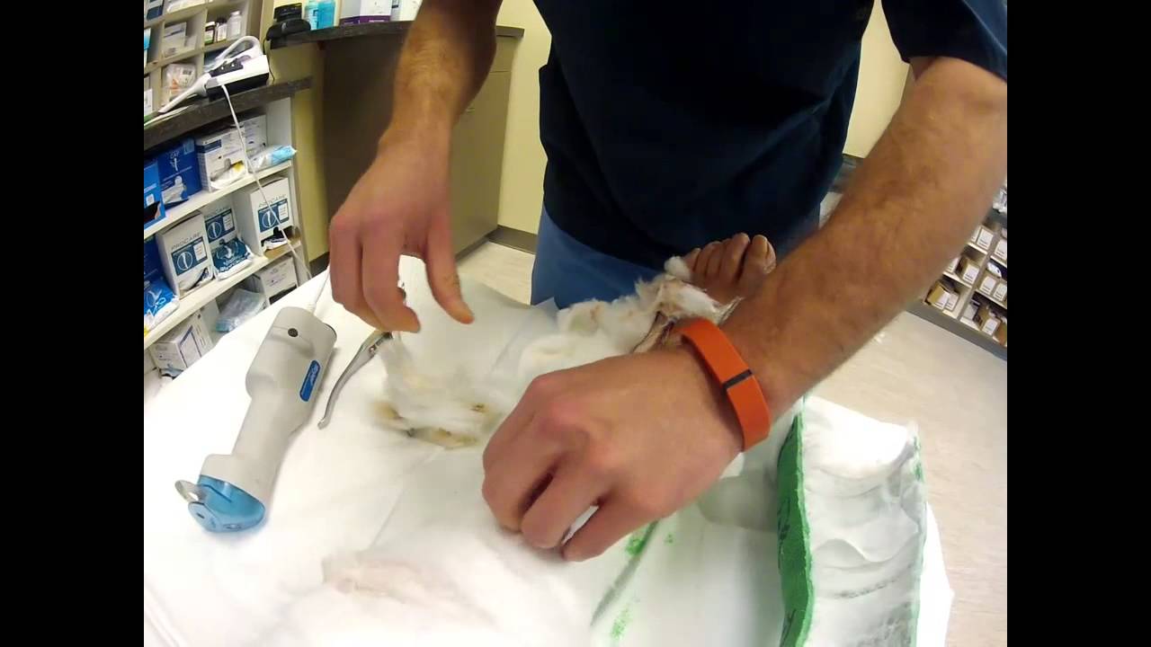 Tendon Sheath Surgery - YouTube