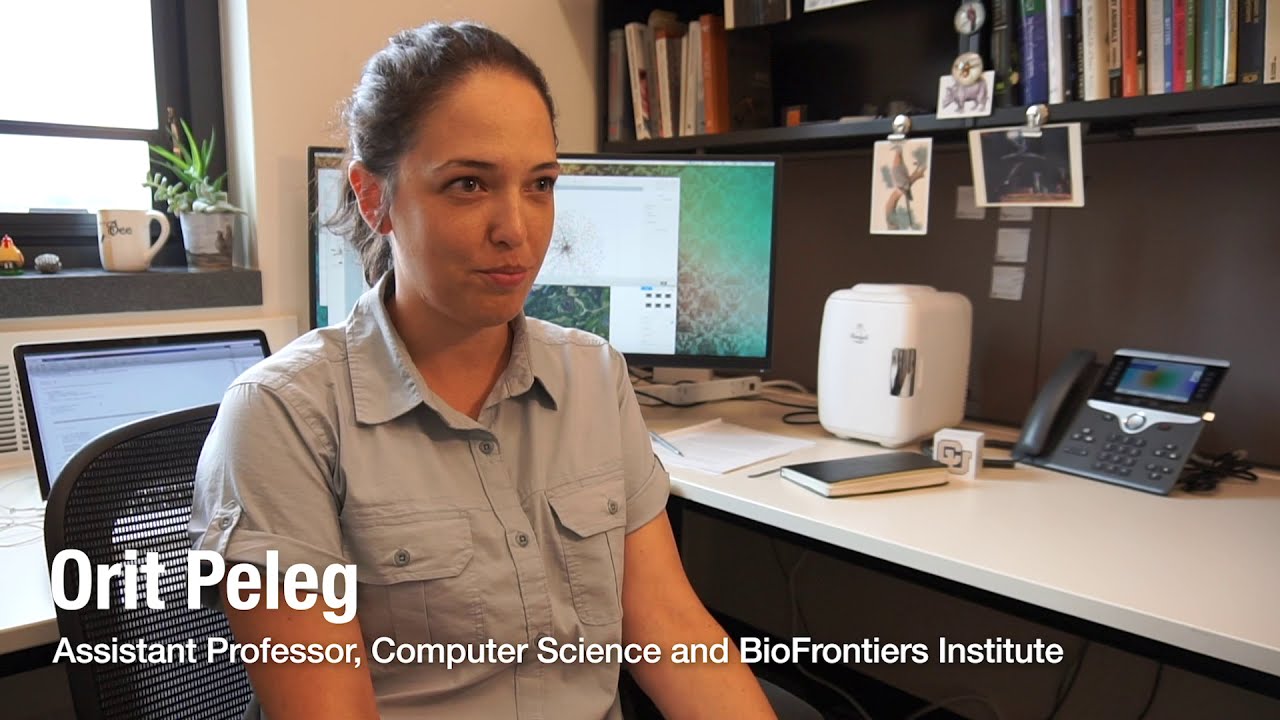 CU Engineering Faculty: Orit Peleg - YouTube