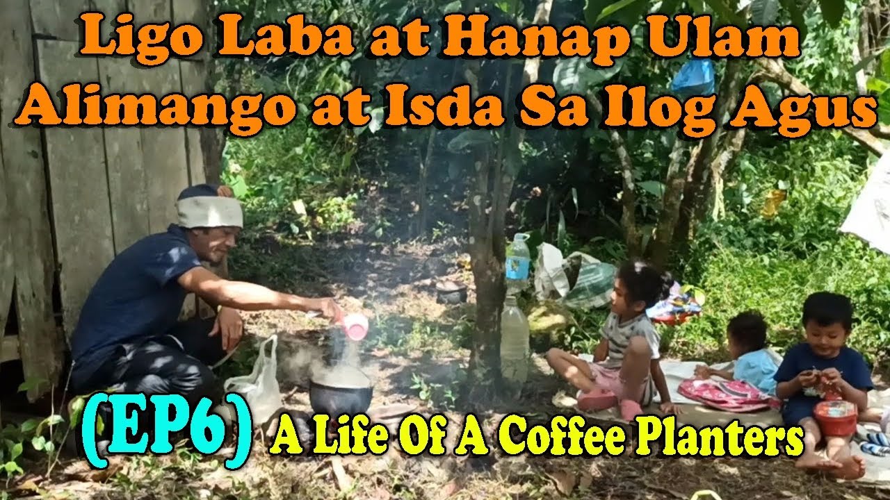 Ligo Laba at Hanap Ulam Alimango at Isda Sa Ilog Agus #ep6 A Life Of A ...