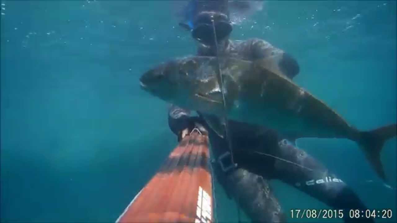 ΜΑΓΙΑΤΙΚΟ 10kg ΨΑΡΟΝΤΟΥΦΕΚΟ AMBERJACK SPEARFISHING - YouTube