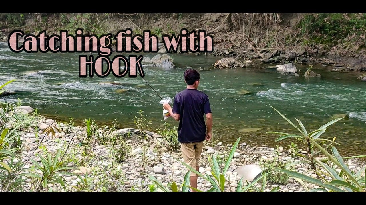 Catching fish with hook - Barilius bendelisis Fish Found in Manipur ...