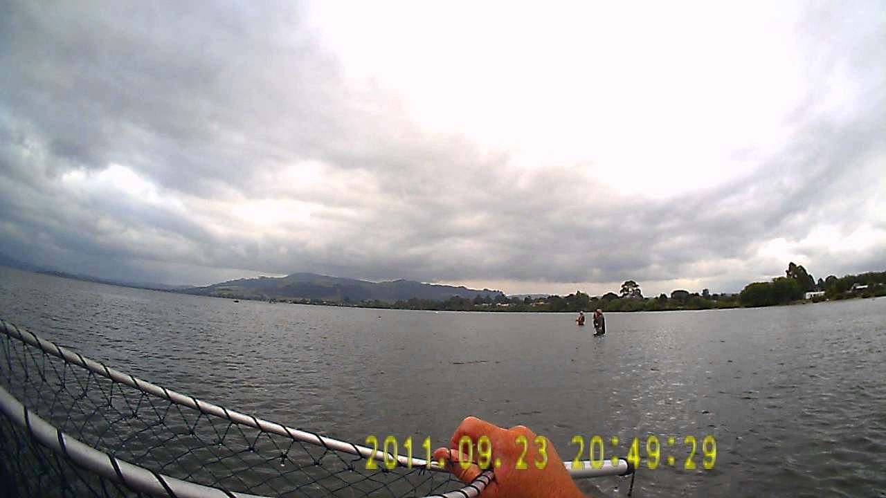 Rotorua trout fishing Awahou - YouTube