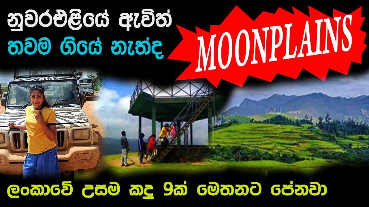 Moon Plains|Sadathenna|Nuwara Eliya|ලංකාවෙ උසම කඳු 9ක්ම බලන්න මෙතනත ...