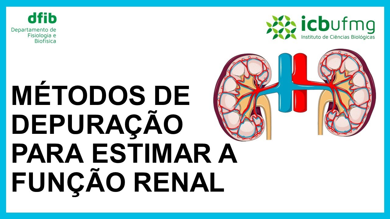 Fisiologia Renal - Métodos de Depuração para estimar a função renal ...