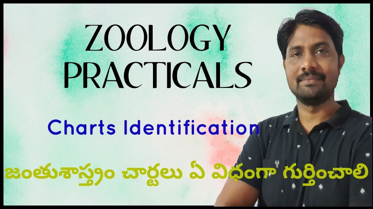 Zoology Practical Exam Chart Identification | జంతుశాస్త్రం చార్టలు ...