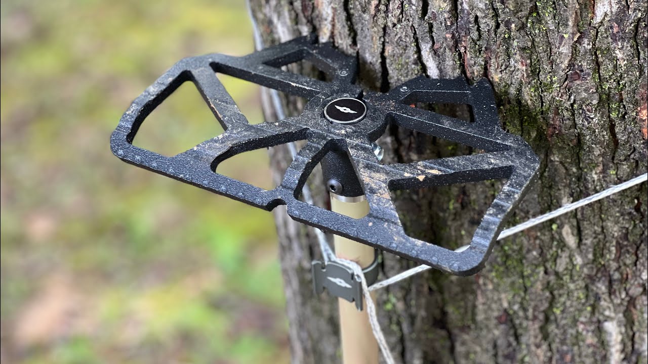 Out on a Limb - One Platform - YouTube