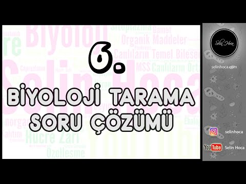 6. Biyoloji Tarama Soru Çözümü