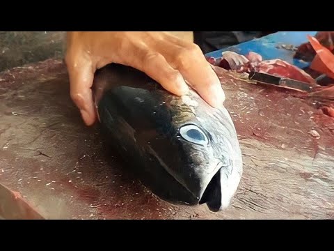World's Fastest Skipjack Cutting Skill - Skipjack Tuna Cutting - Cut ...