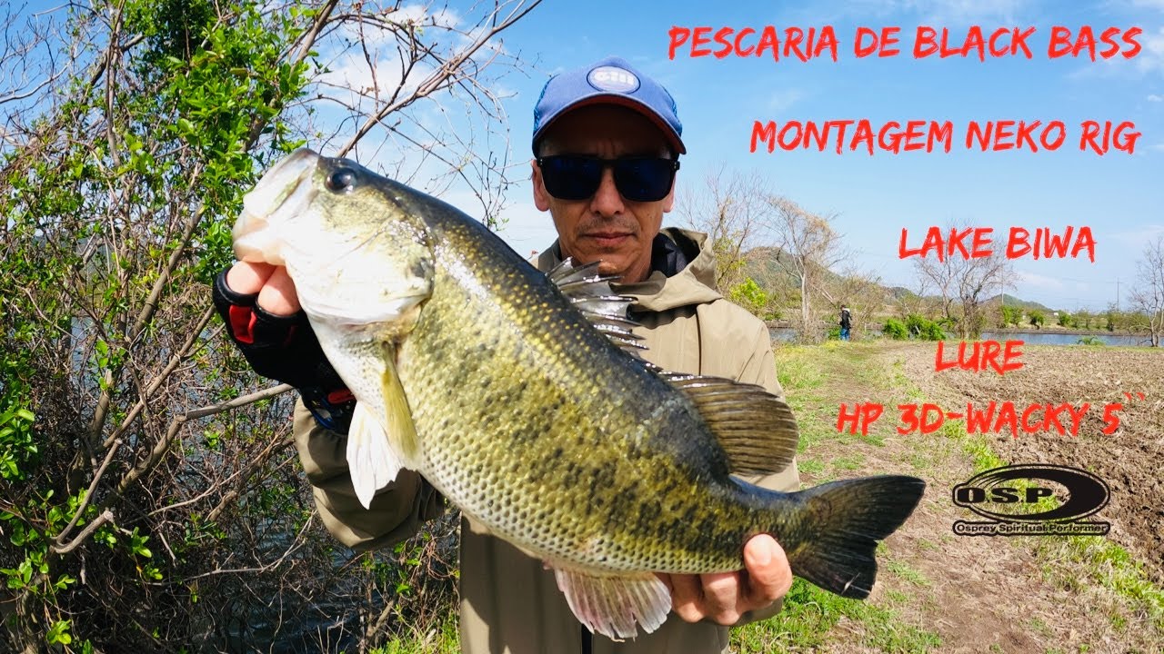 PESCARIA DE BLACK BASS - LAKE BIWA - LURE HP 3D-WACKY 5`` O.S.P ...