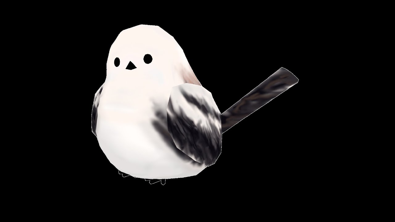 Virtual Bird but she's live-streaming - YouTube