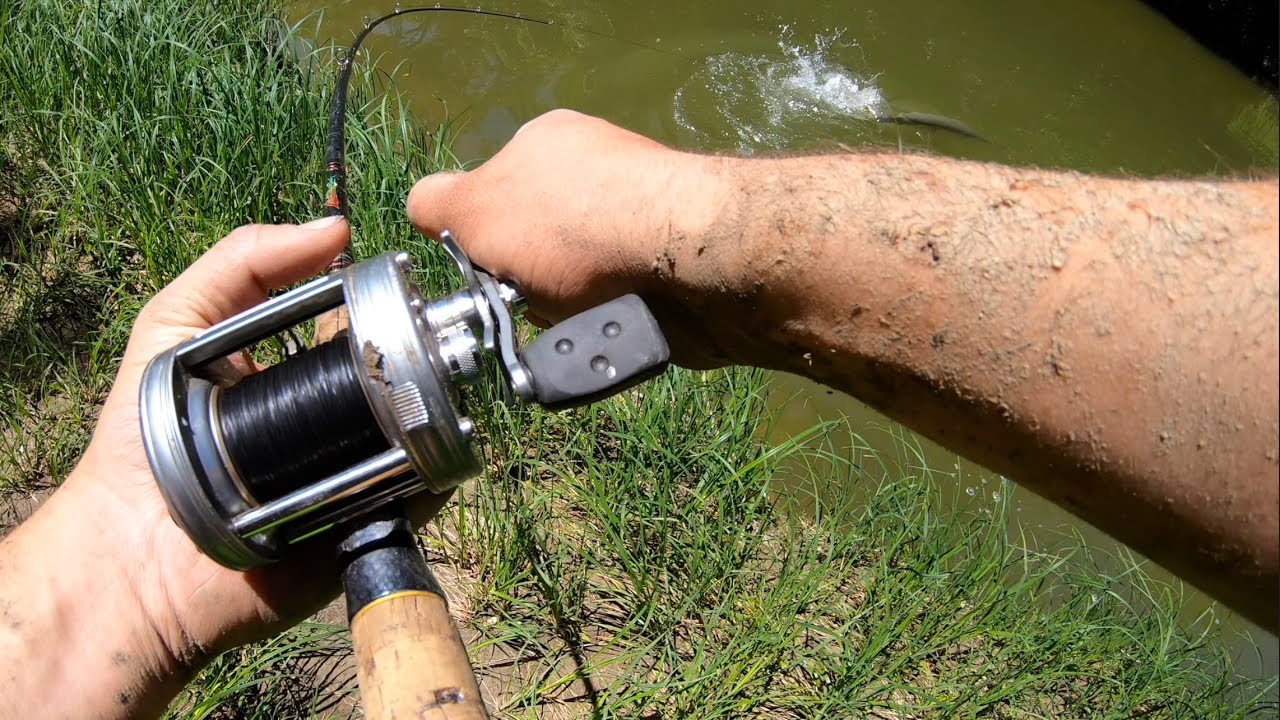 "Forget State Records - I Caught a WORLD Record Fish in Texas!" Fishin ...