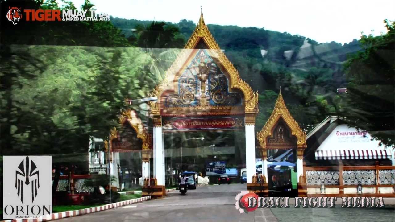 Kru Ash: Tiger Muay Thai & MMA Training highlights, Phuket, Thailand ...