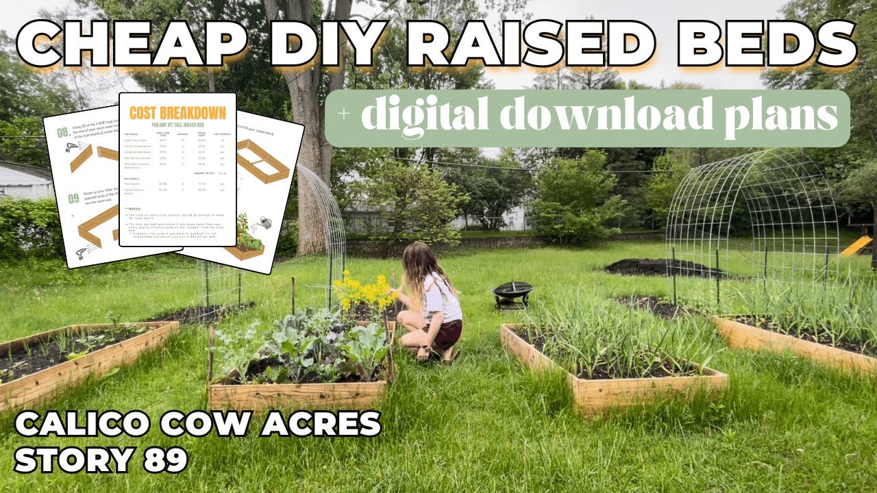 Cheap DIY Raised Garden Beds | Homestead Builds - YouTube