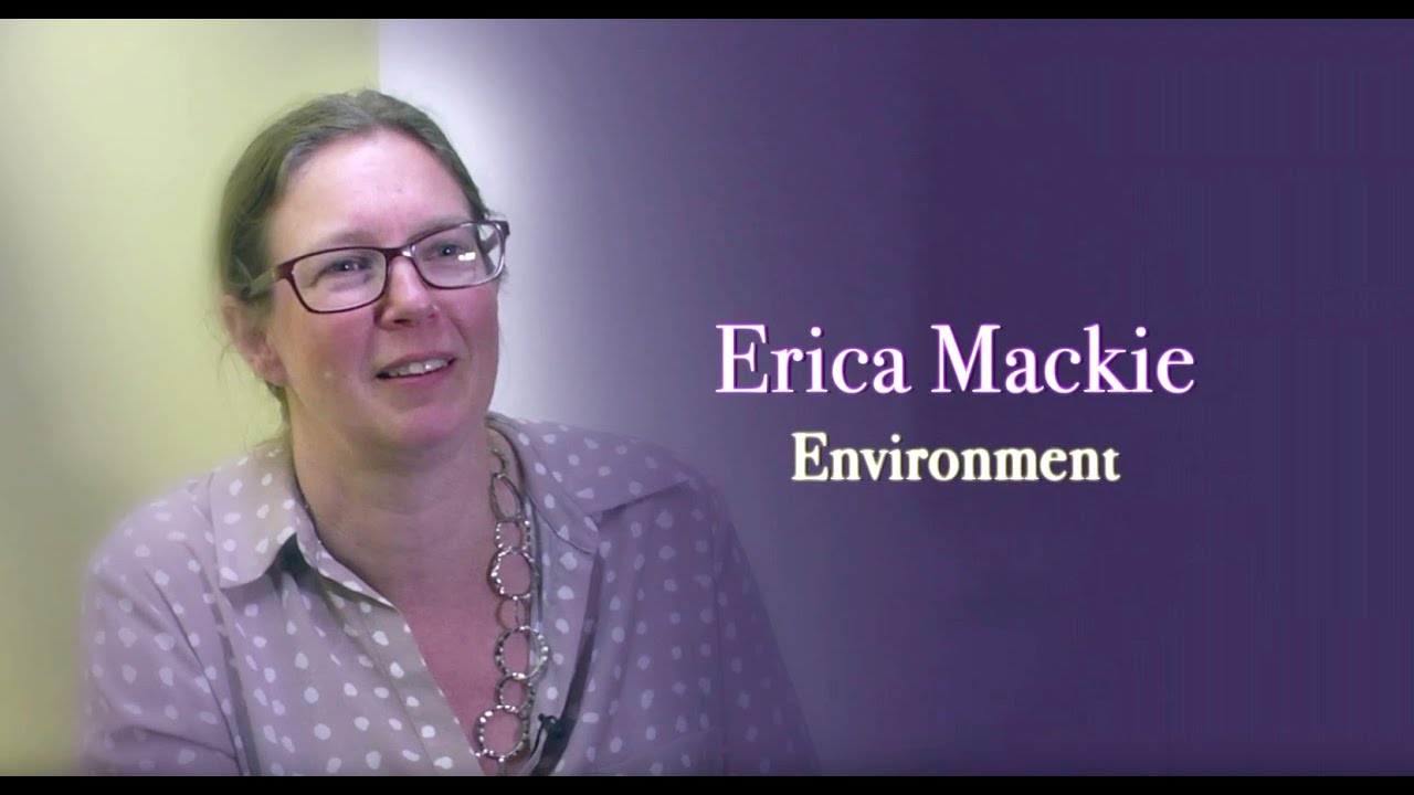 Erica Mackie - Environment - YouTube