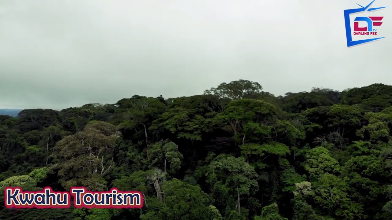 KWAHU TOURISM- NKAWKAW BEPOASE VILLAGE GRILL. This Ecosystem Fishpond ...