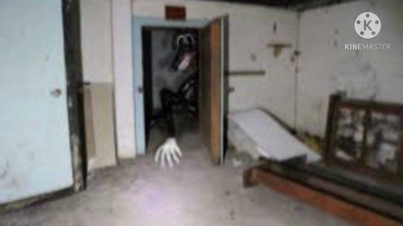 Cartoon Dog (p1 p2) Song Theme New song for dog - YouTube