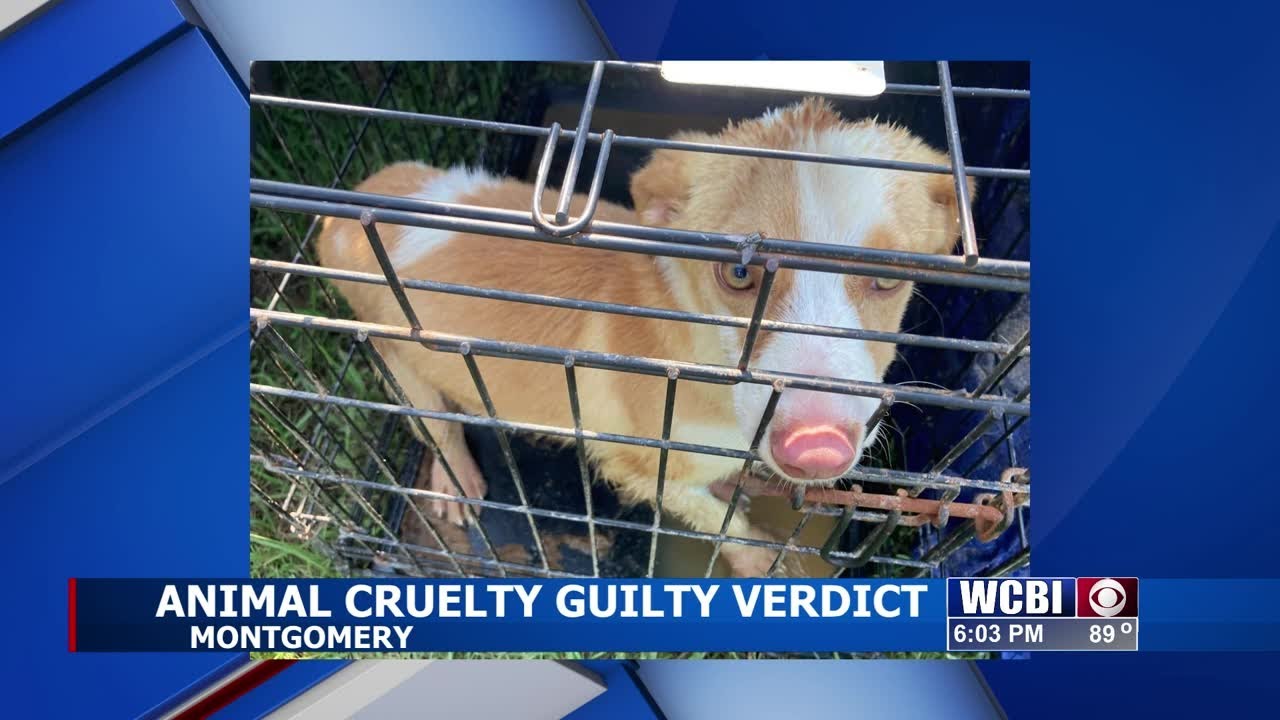 Montgomery County woman found guilty of animal cruelty charge - YouTube