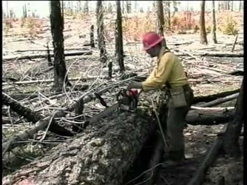 How to Use a Chainsaw for Wildland Firefighters - PART 2 - YouTube