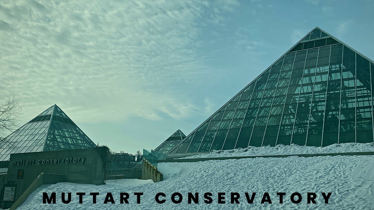 Muttart Conservatory | EXPLORE EDMONTON - YouTube