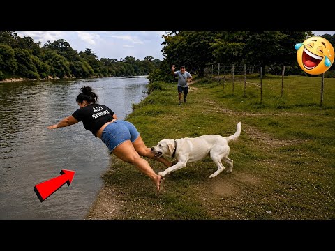 Try Not To Laugh 🤣 Top Funniest Videos 2026 🎬 Best Memes, Epic Fails & Pranks Compilation (part 14)
