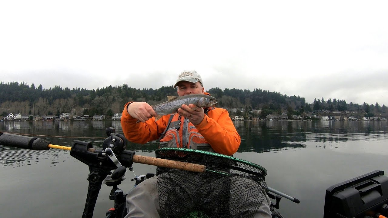 Kayak fishing Lake Sammamish Midge Hatch with Lead Core Line - YouTube