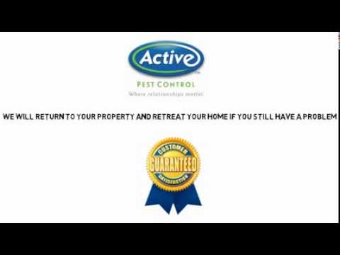 What Does It Take To Be Active In Pest Control