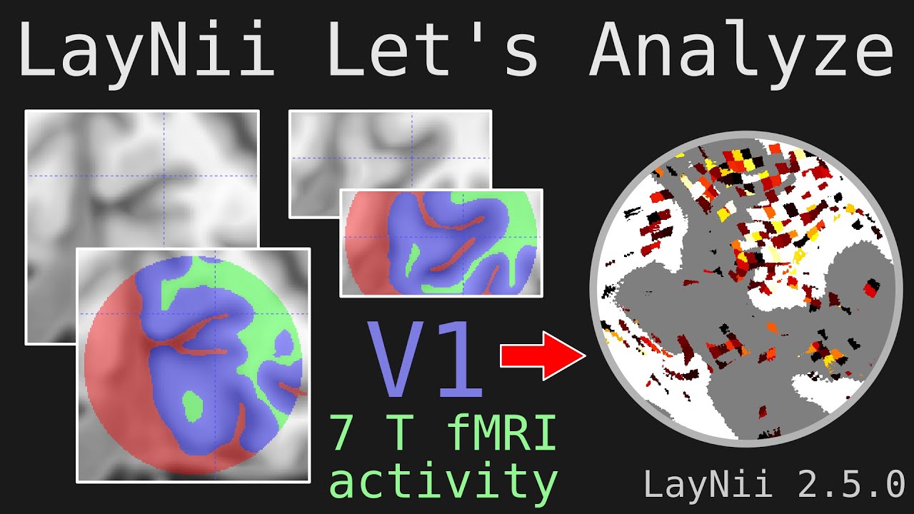 Let's Analyze E002 - LayNii layers and flattening fMRI activity in V1 - YouTube